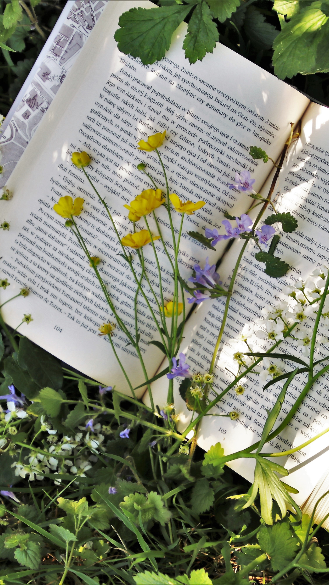 Hook, Line, and Sinker: How to Write the Perfect Tagline for Your Novel